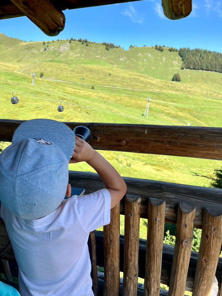 Family Adventure Awaits: Top Kid-Friendly Hikes in the Swiss Alps - Dad ...